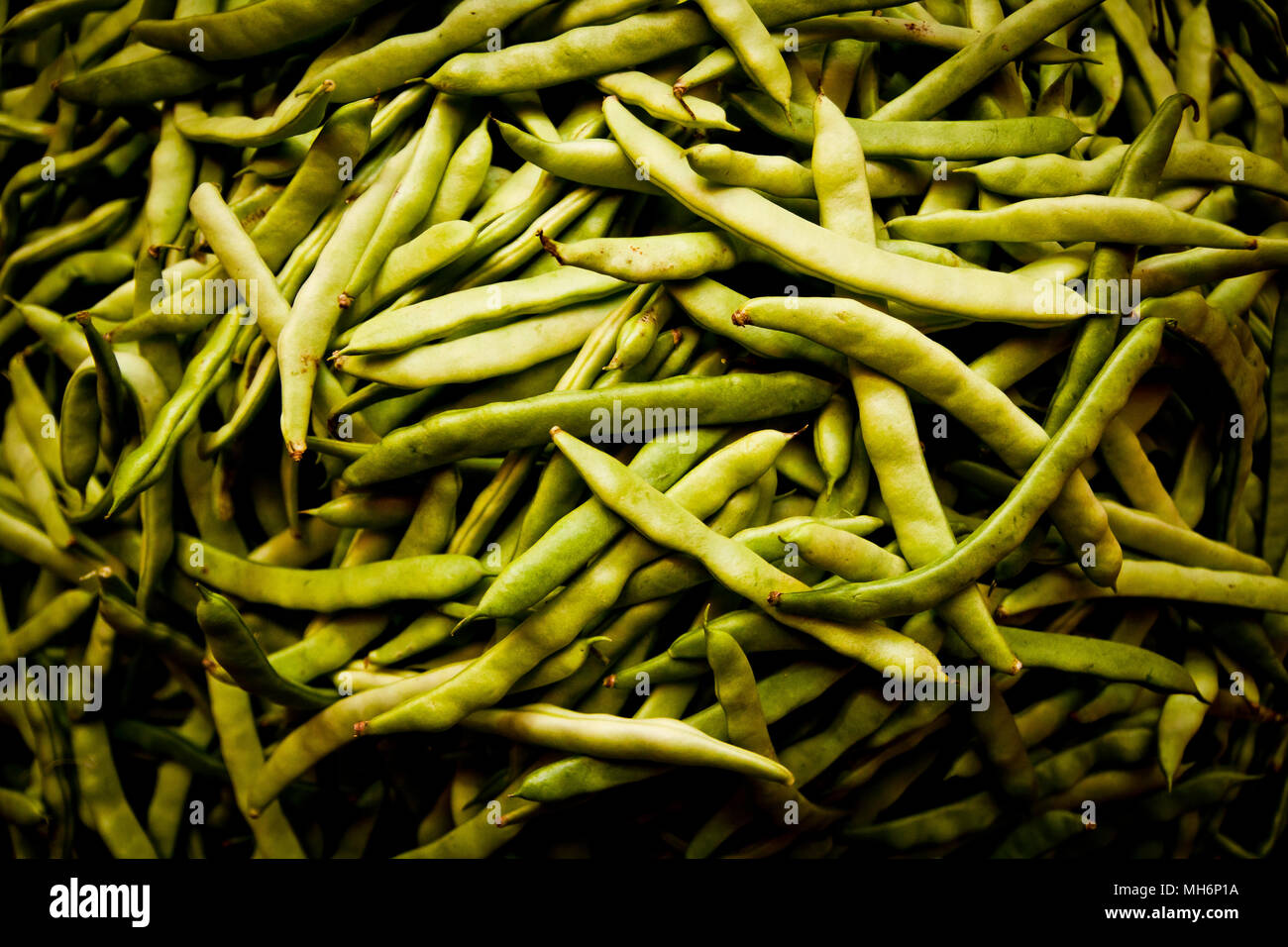A pile of fresh green beans for sale at a market stall during the night ...