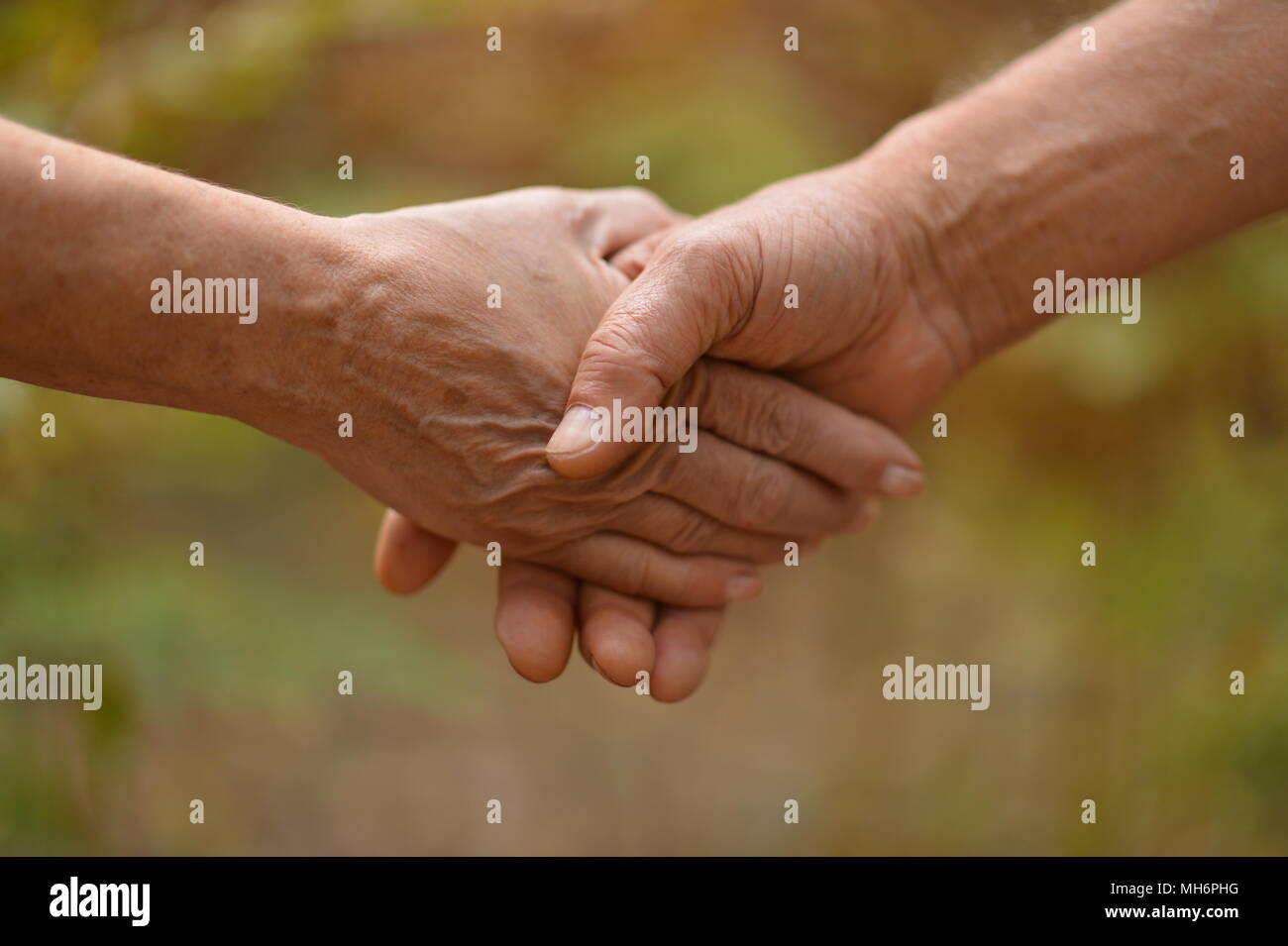 Elderly couple holding hands together Stock Photo - Alamy