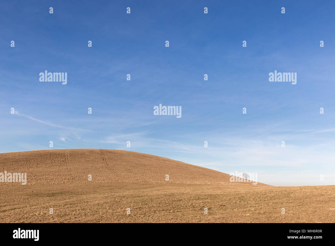 A distant, lonely tree on a bare hill, beneath a blue sky with white ...