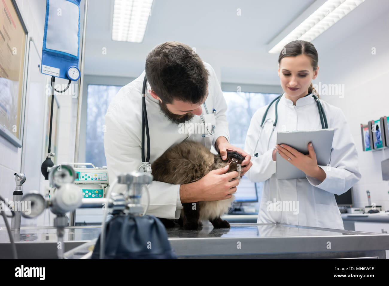 Icu patient female hi-res stock photography and images - Alamy