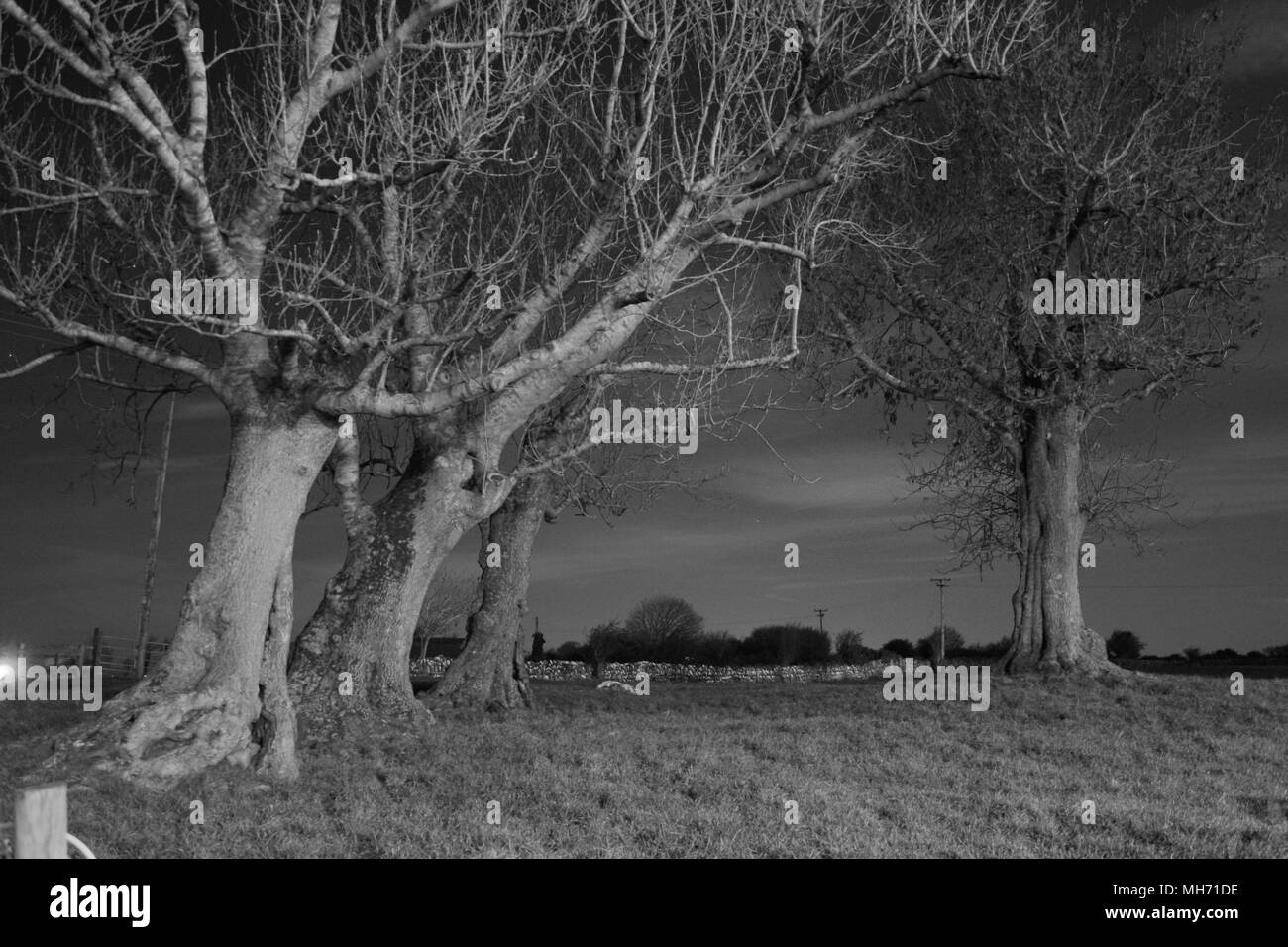 Clare night sky hi-res stock photography and images - Alamy