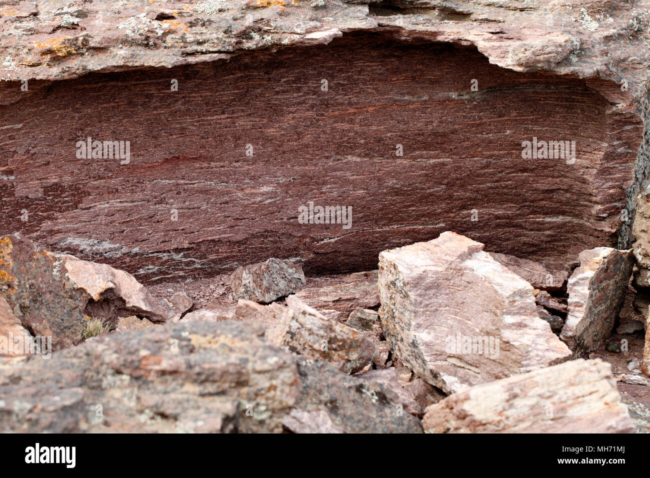 red sandstone strata looking like a side of beef, or meat Stock Photo ...