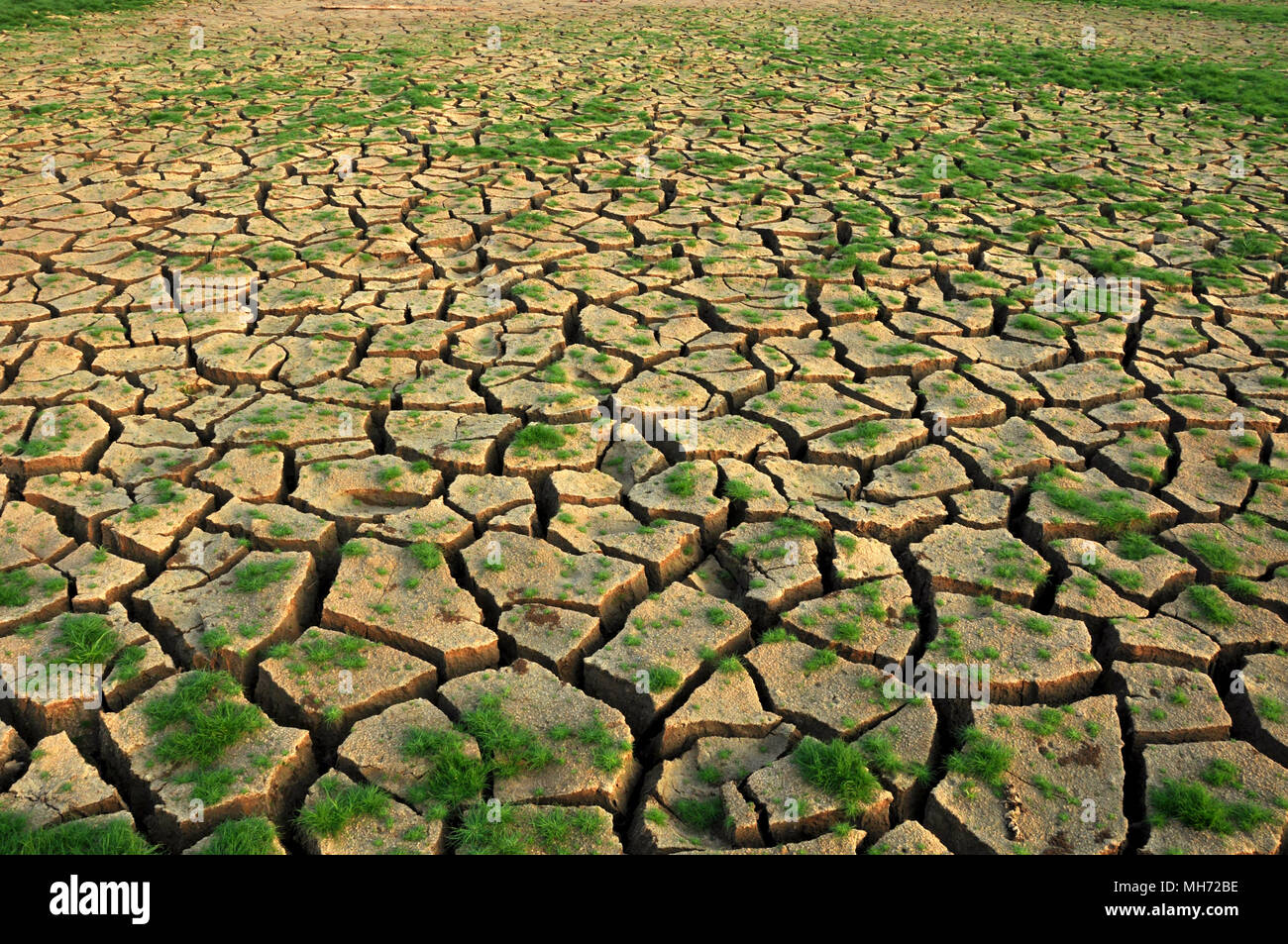 Crack And Drought Land Stock Photo - Alamy