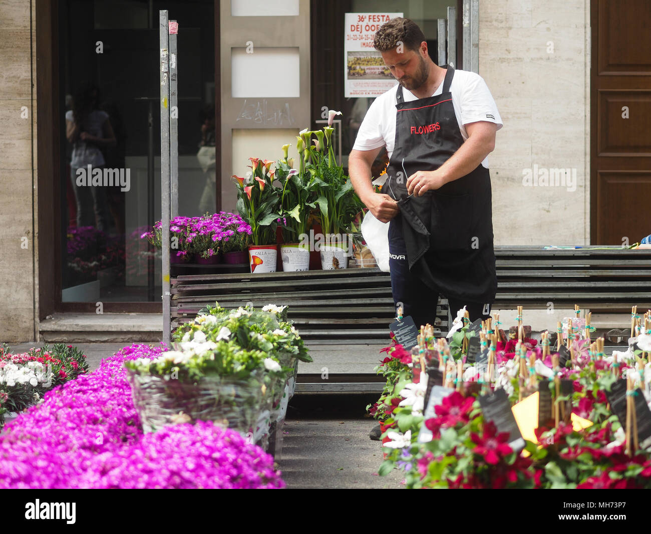 Sping Street flower market 2018 edition in Cremona Lombardia Italy ...