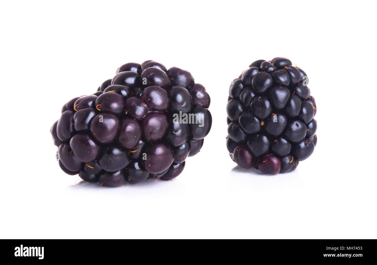 blackberry isolated on a white background Stock Photo - Alamy