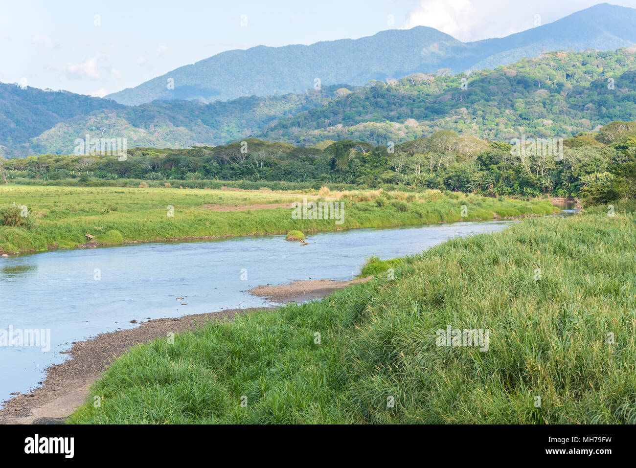 River in Costa Rica in rainforest Stock Photo - Alamy