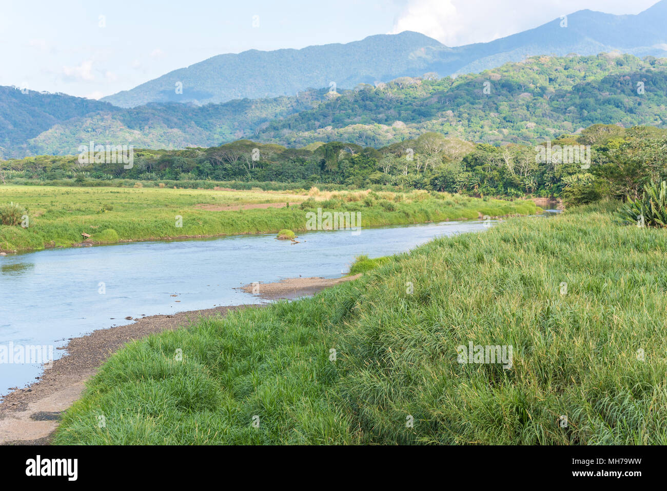 River in Costa Rica in rainforest Stock Photo - Alamy