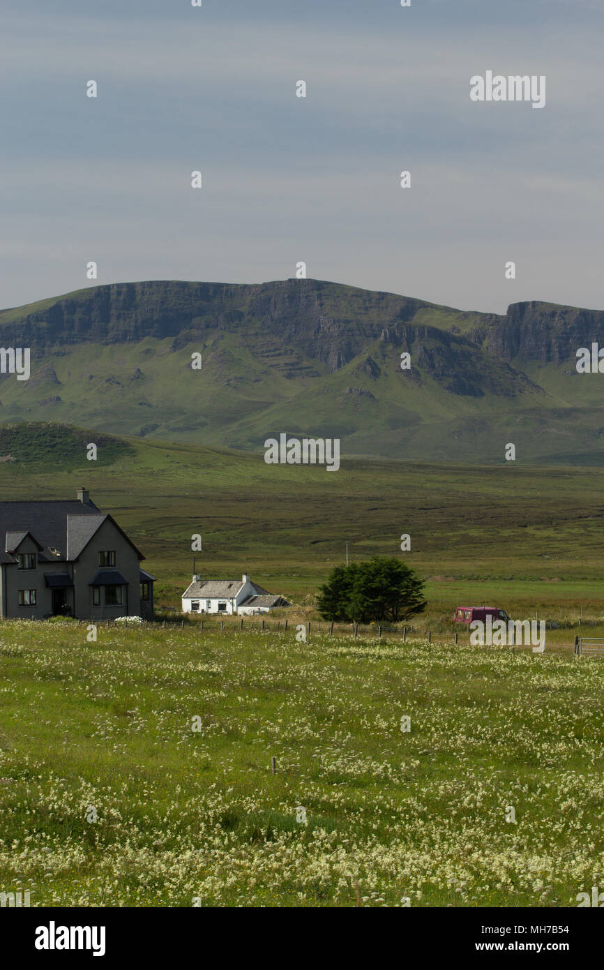 Rural Landscape With Lush Green Grass, Houses And Hills In The Distance ...