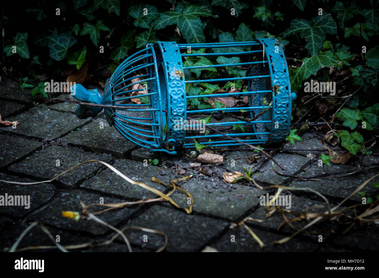 Old brid hi-res stock photography and images - Alamy