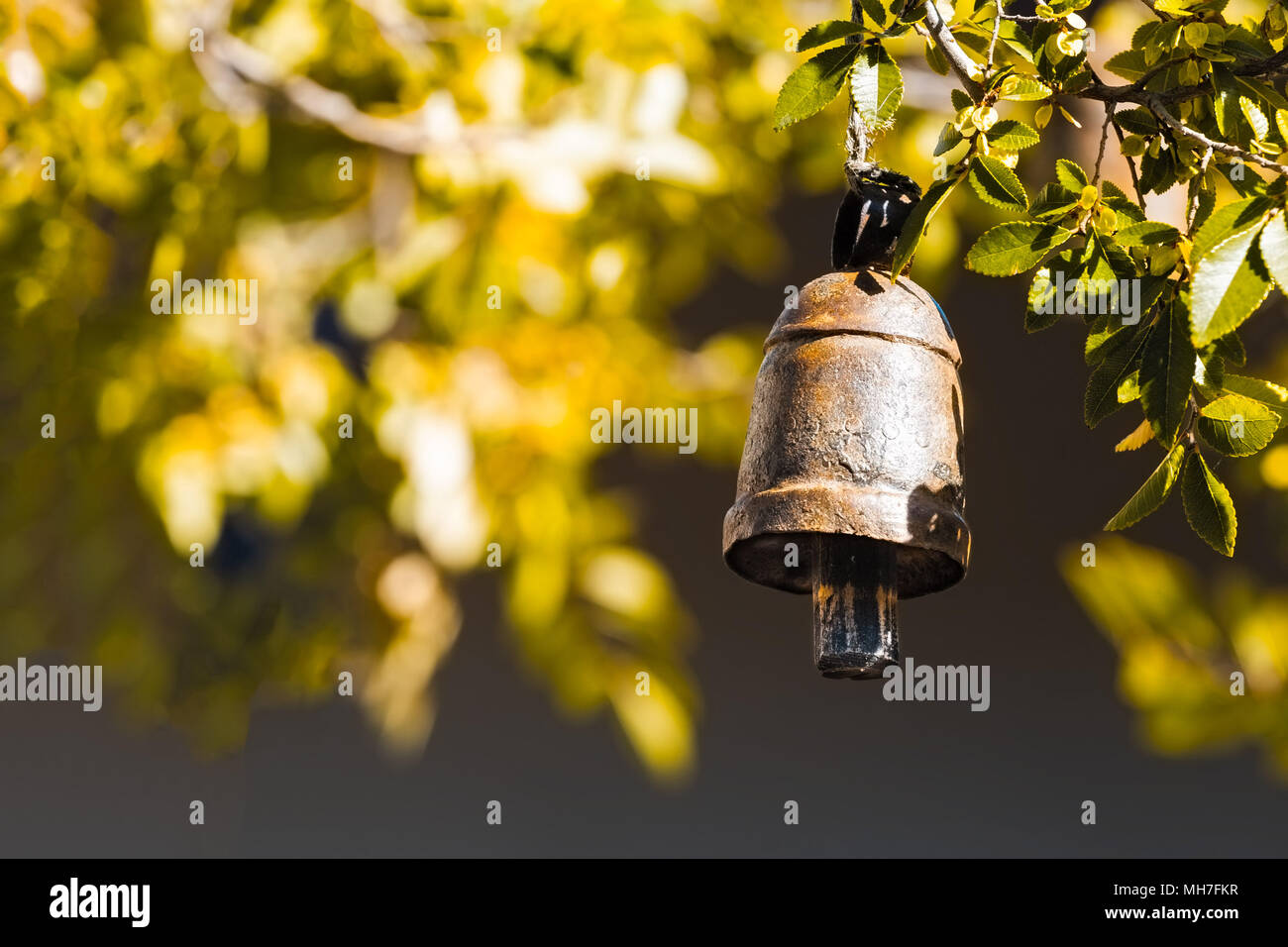Bronze temple ritual bell - spiritual concept with copy space Stock ...