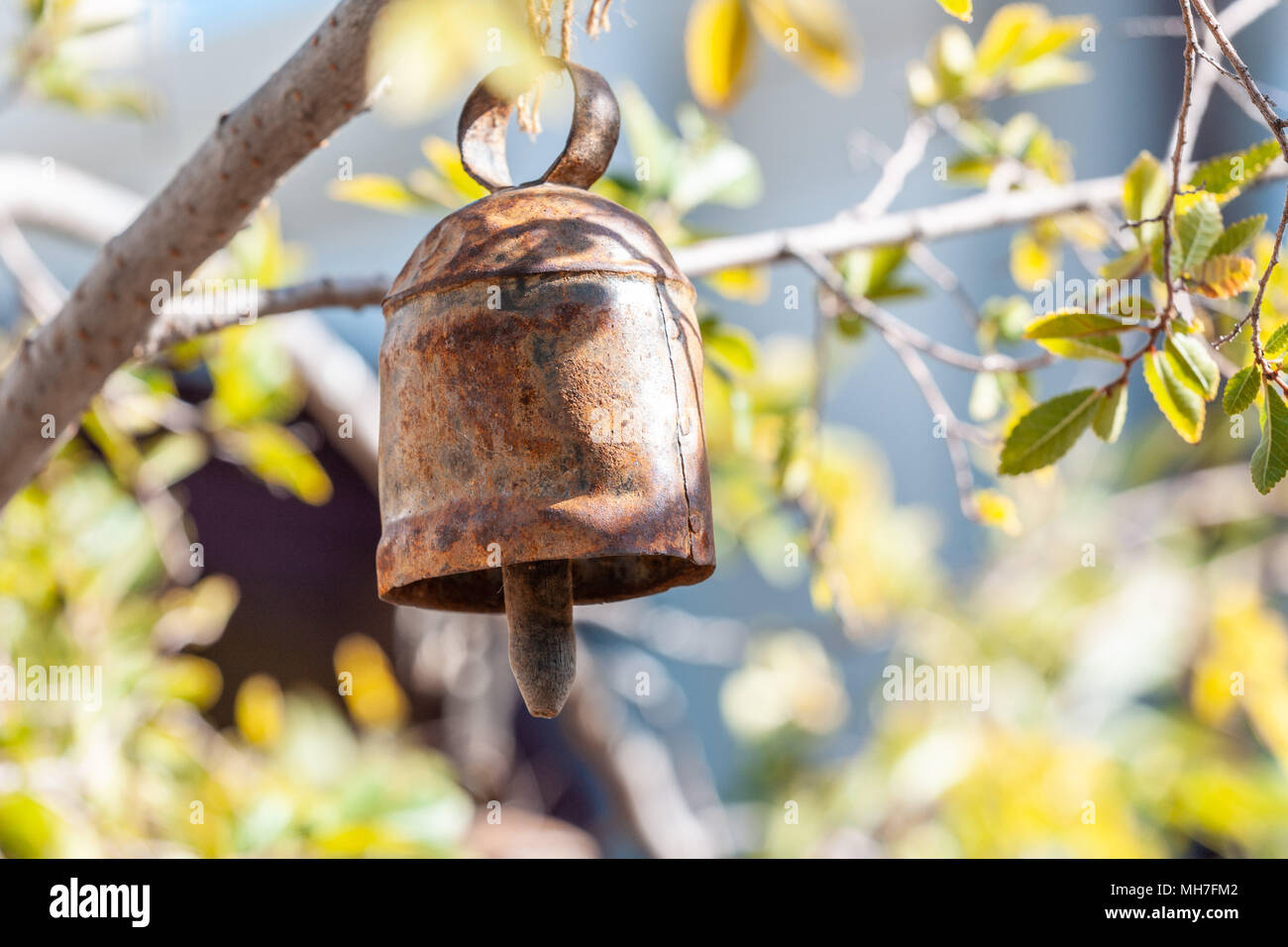 Metal rusty bell hanging from tree branch on blurred background ...