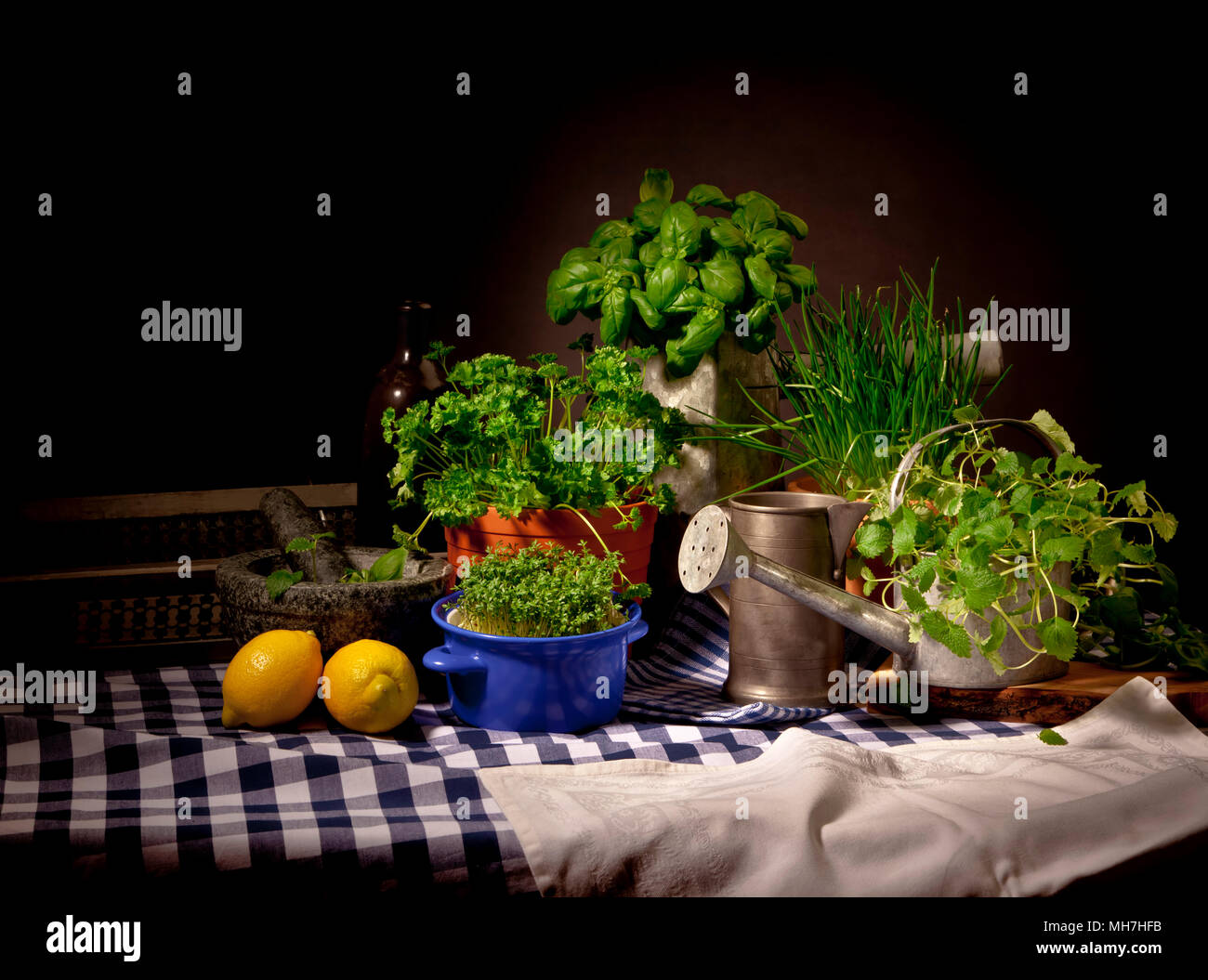 Basil herb pot still life hi-res stock photography and images - Alamy