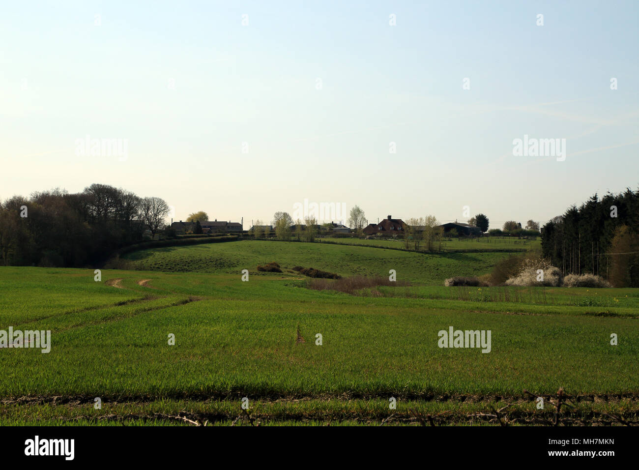 Road across farmland village hi-res stock photography and images - Alamy