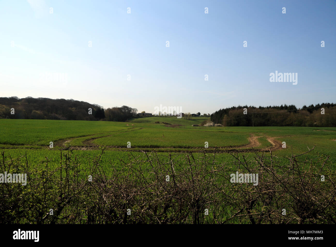 Aldington village hi-res stock photography and images - Alamy