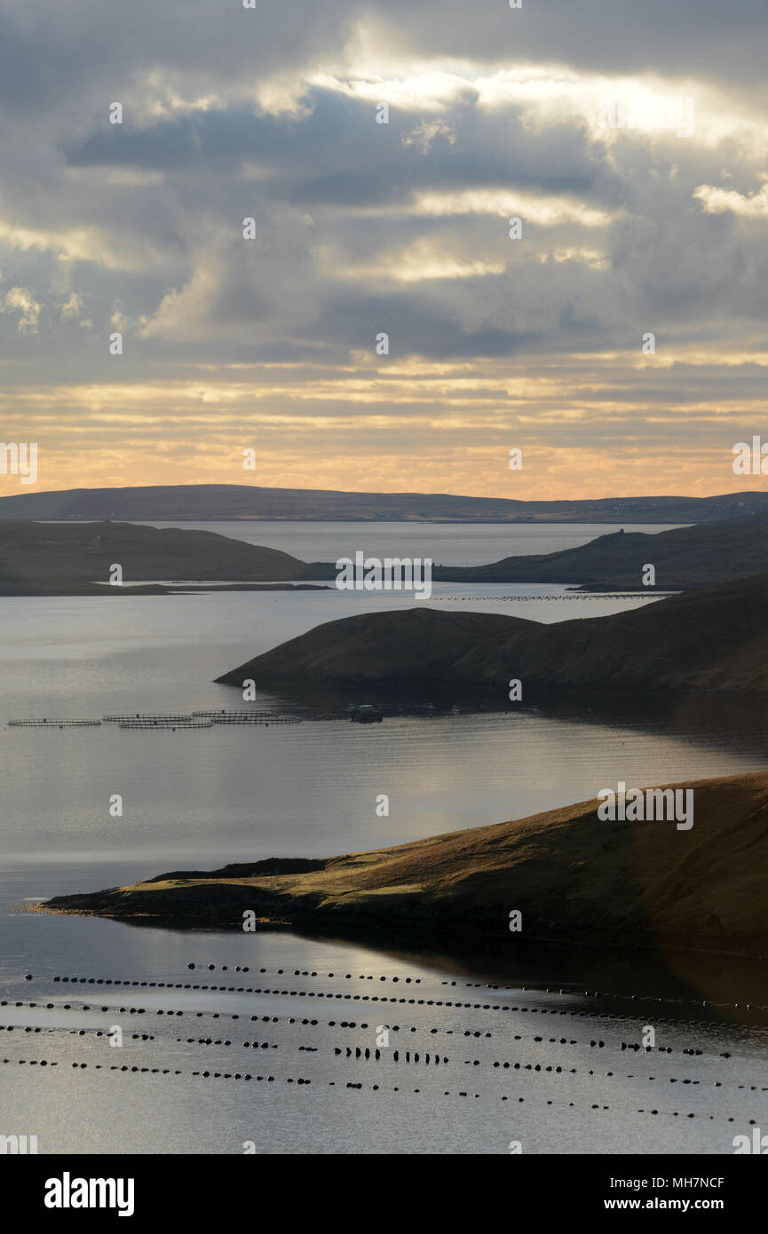Landscape with mussel farms and salmon cages in the early morning light ...