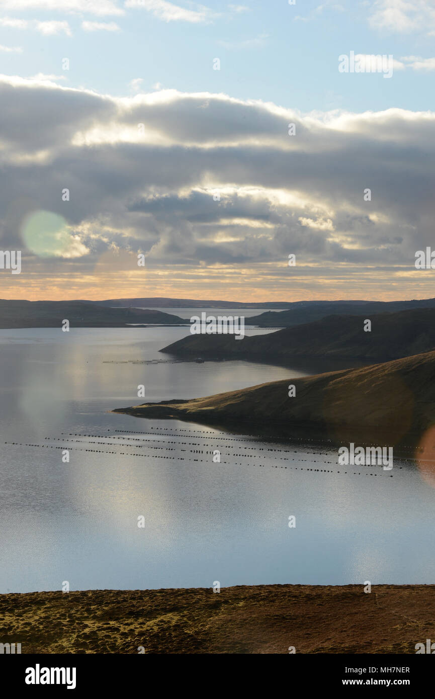 Mussel cages hi-res stock photography and images - Alamy