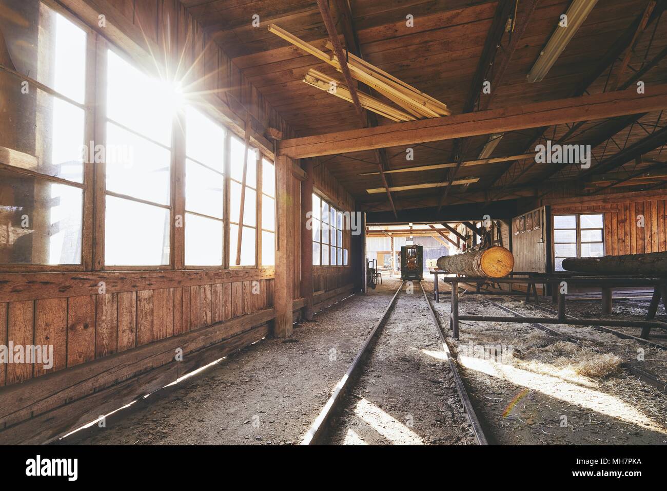 Lumber industry. Production at the sawmill during sunrise Stock Photo ...