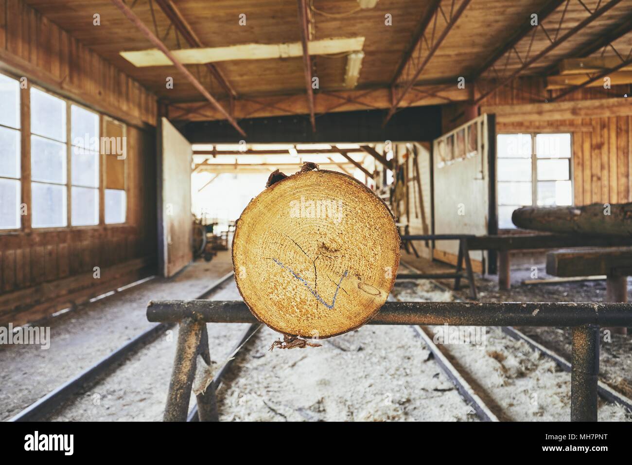 Industry tree hi-res stock photography and images - Alamy