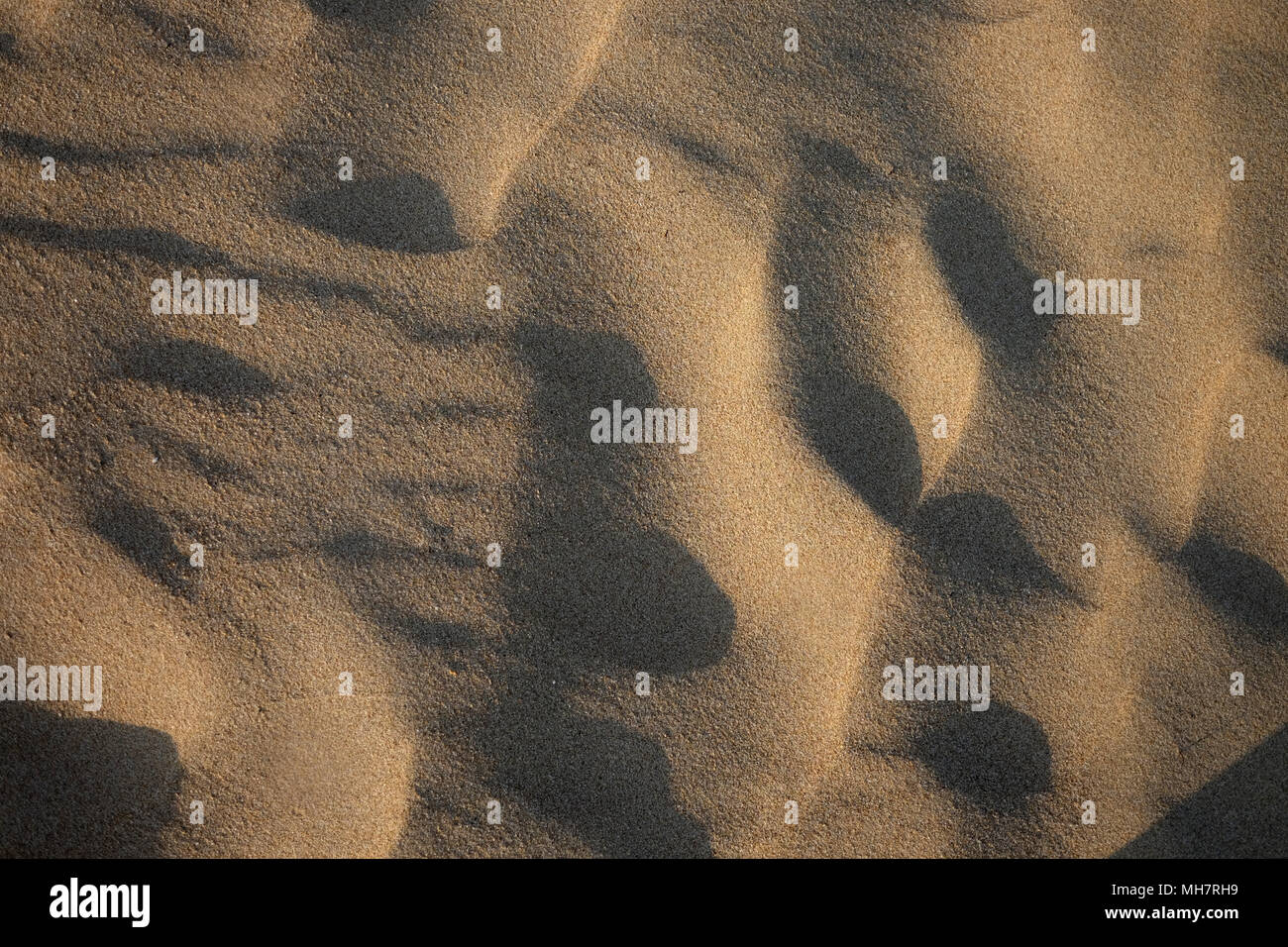 Sunset on the beach. Shadows on sand texture background Stock Photo - Alamy