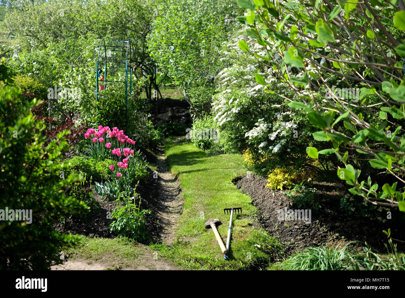 Green trail in beautiful garden with pink flowers Stock Photo - Alamy
