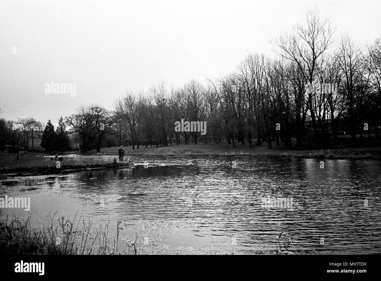 Meon springs trout fishery, Petersfield, Hampshire, England, United ...