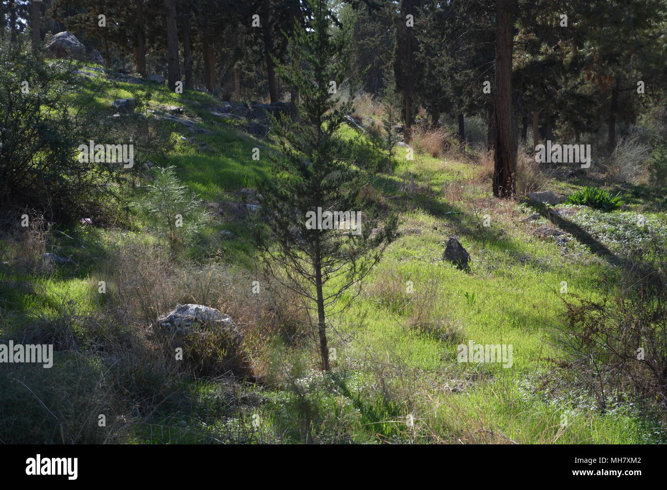 Even stones hi-res stock photography and images - Alamy