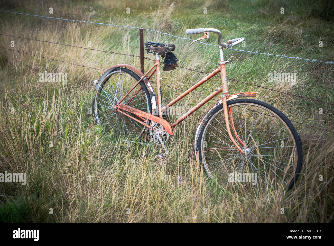 Natural light beautiful scene magnificent pictures Stock Photo - Alamy