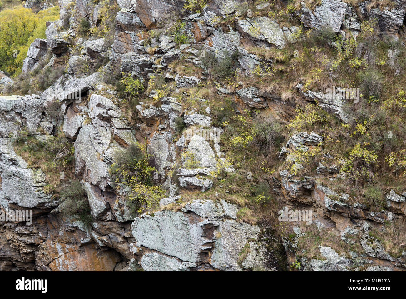 Natural light beautiful scene magnificent pictures Stock Photo - Alamy