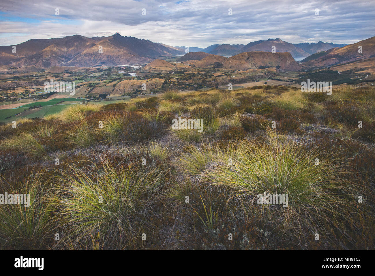 Natural light beautiful scene magnificent pictures Stock Photo - Alamy