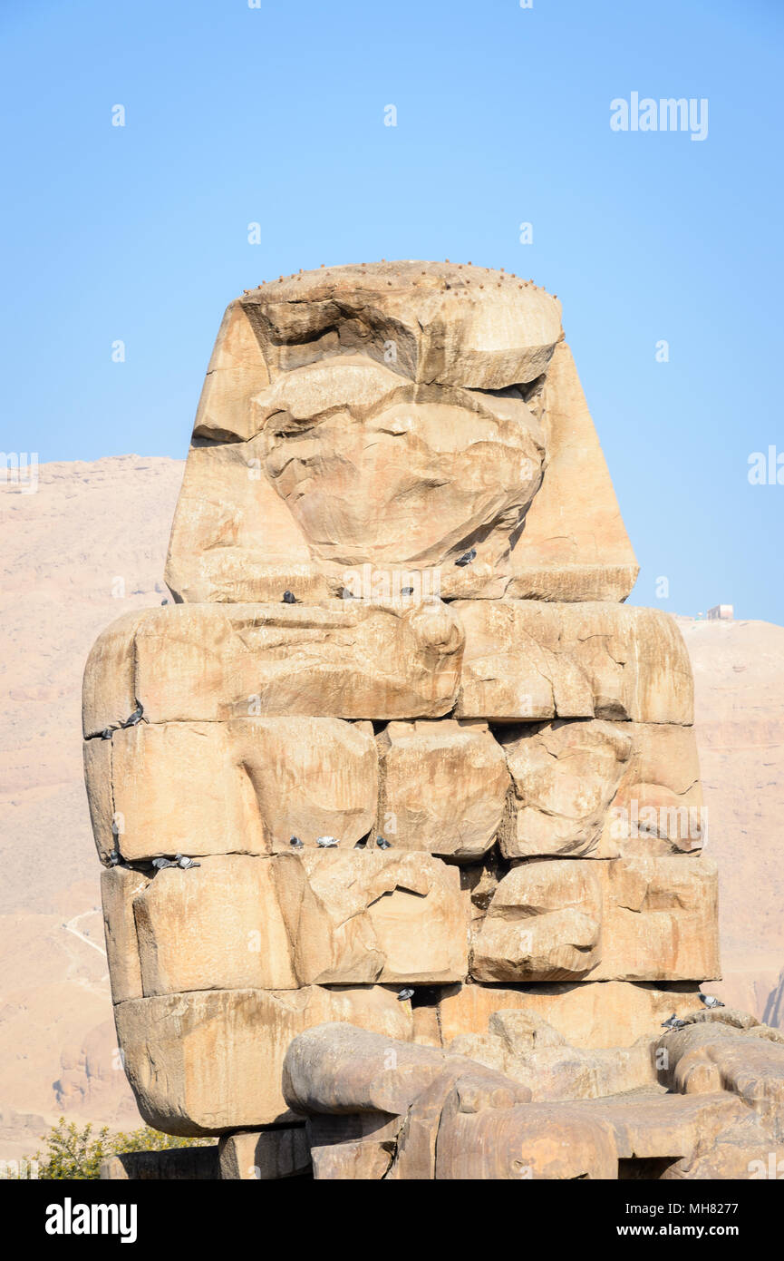 Closeup of the Colossus of Memnon, massive stone statue of Pharaoh ...