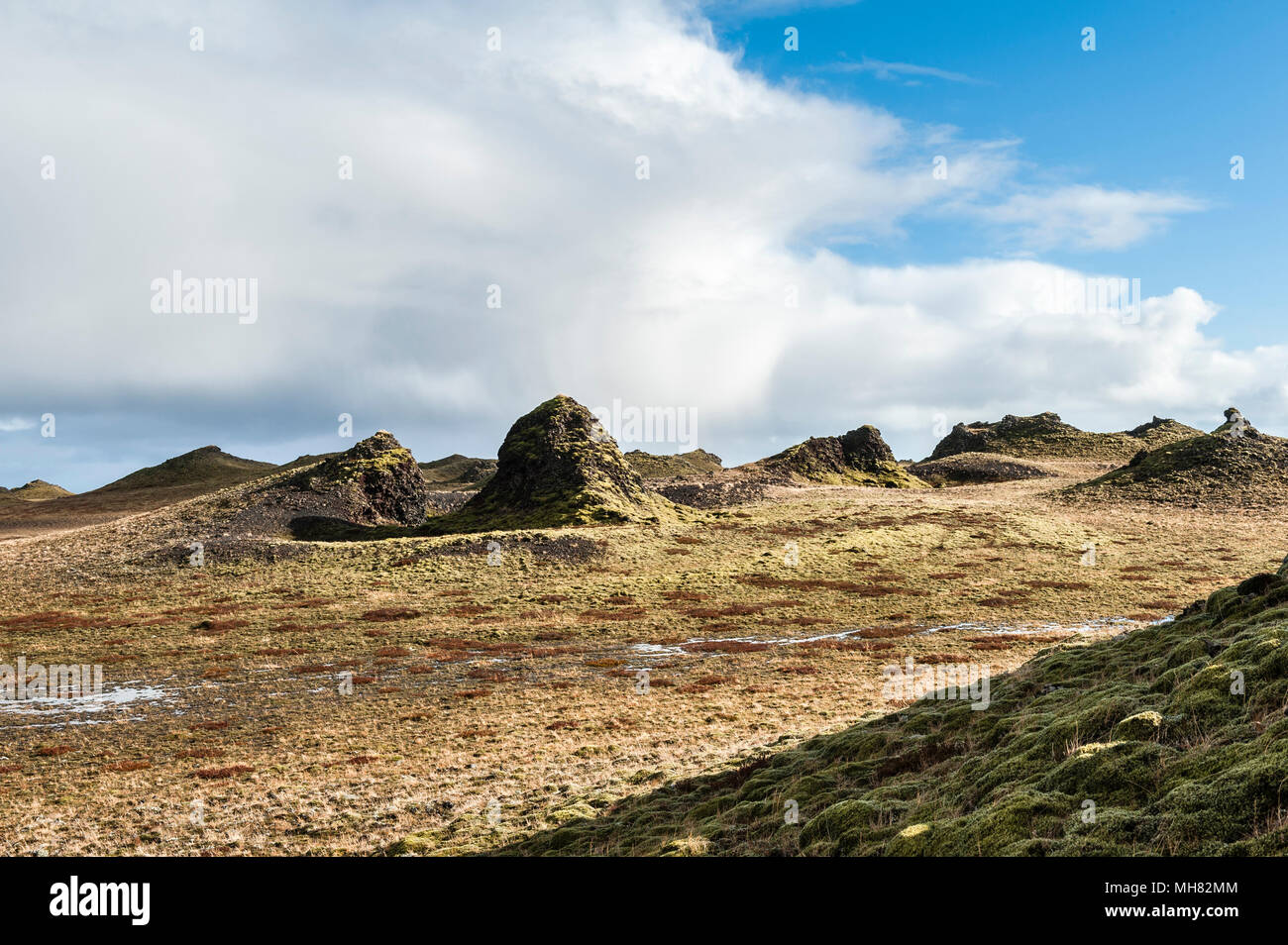 South Iceland, near Kirkjubæjarklaustur on the Ring Road. An area of ...