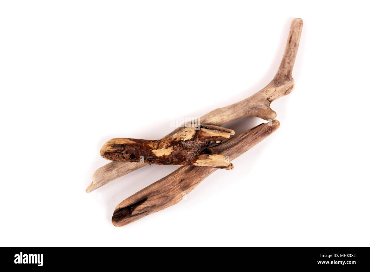 Wooden log in sea hi-res stock photography and images - Alamy