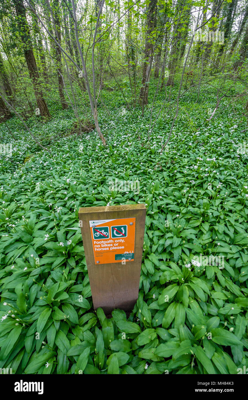 Forest forestry commission warning sign hi-res stock photography and ...