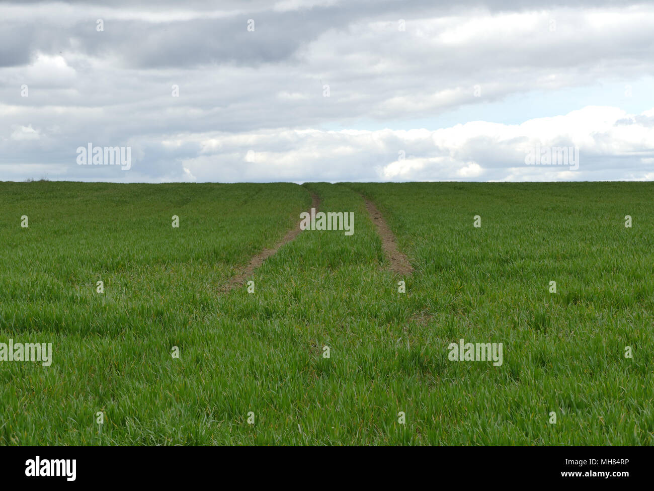 Path under clouds hi-res stock photography and images - Alamy