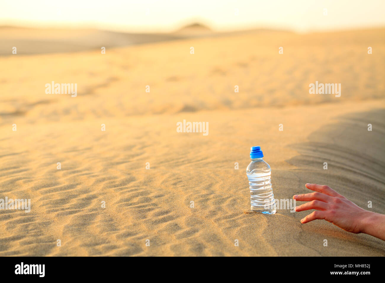 Hand try to catch the bottle of water on sand desert in hot temperature ...