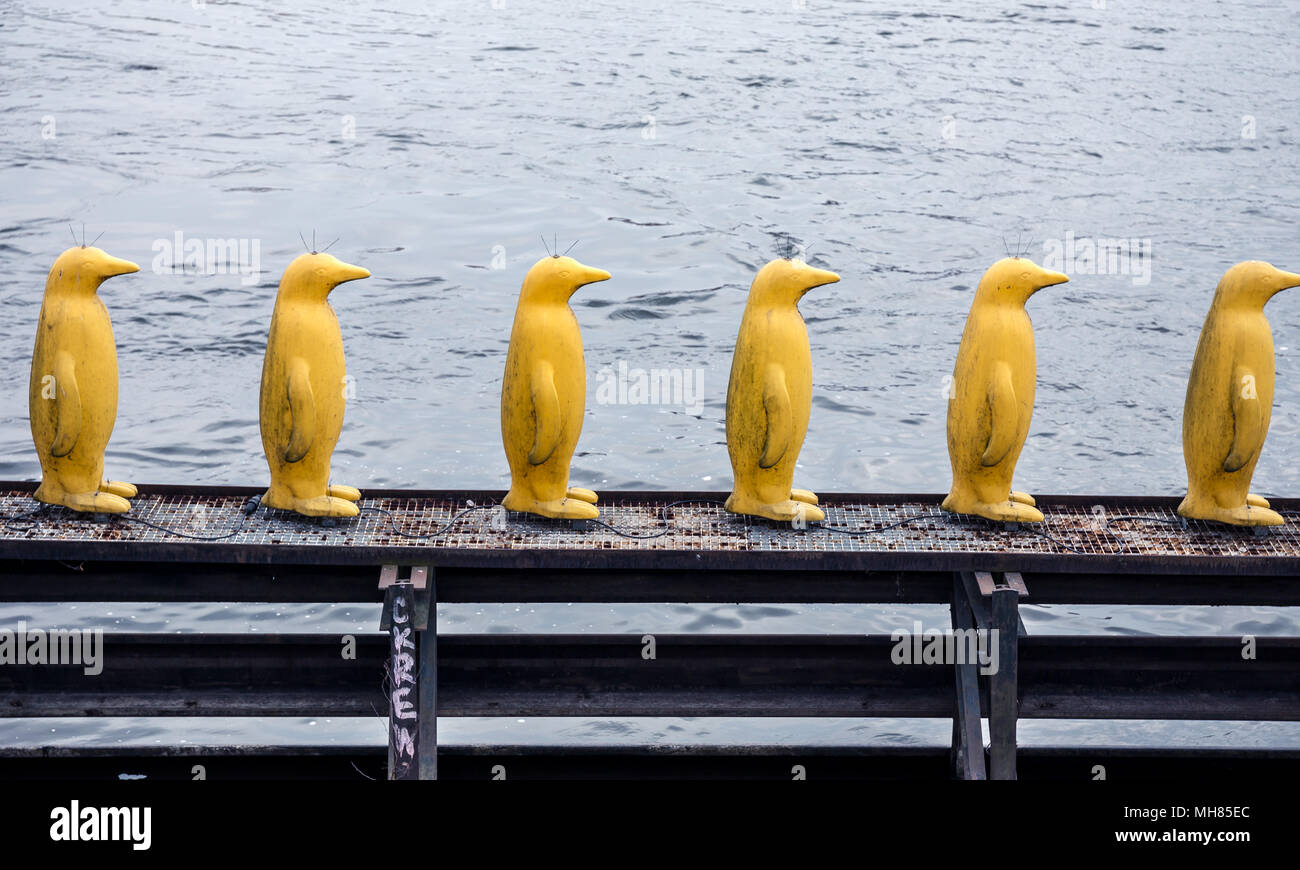 Yellow penguins art installation Stock Photo - Alamy