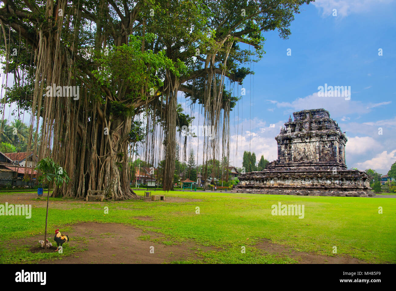 Candi Mendut Temple 9th century near Borabadur Central Java Indonesia ...