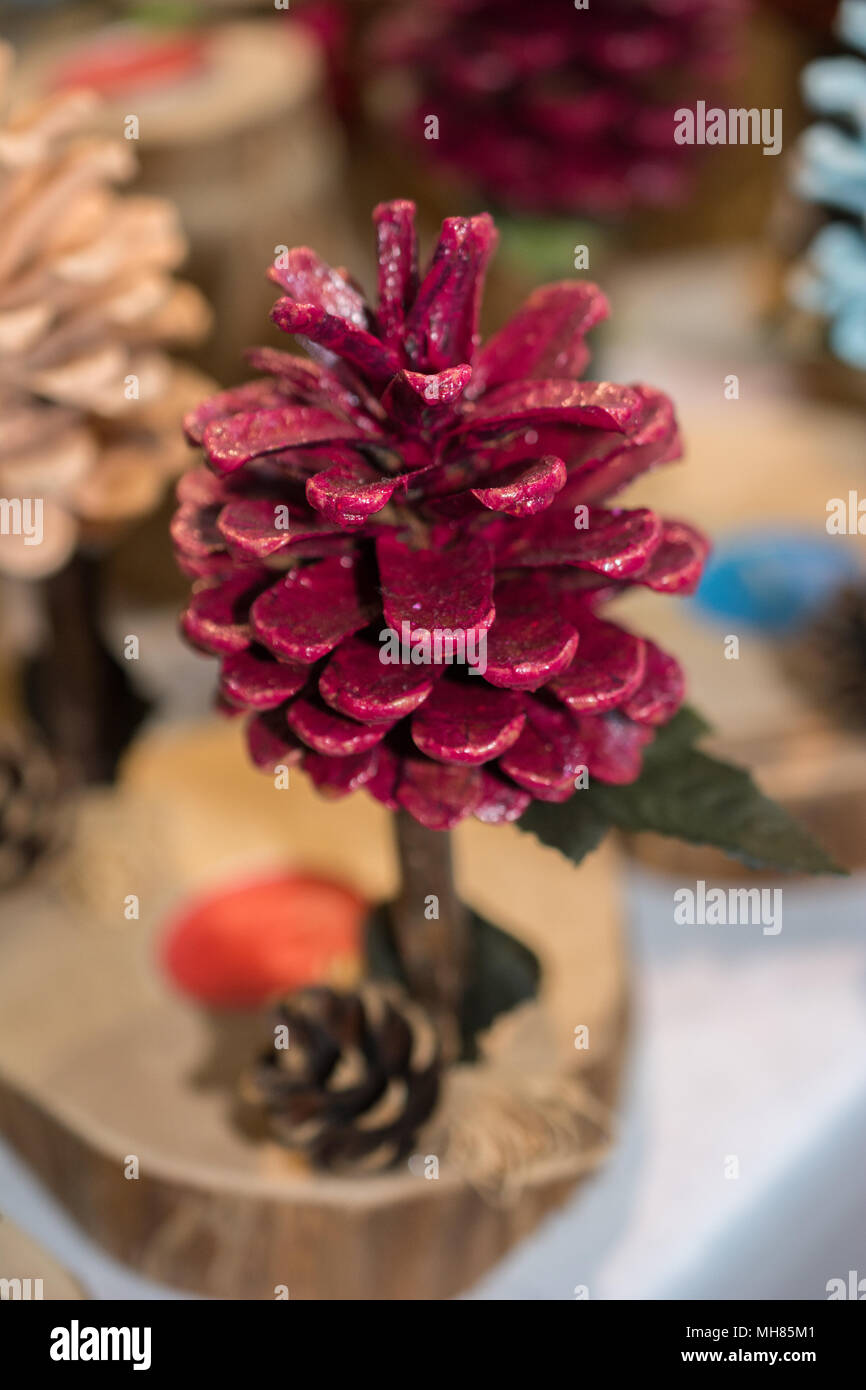 Colorful Pine cones of the pine tree in the view Stock Photo - Alamy