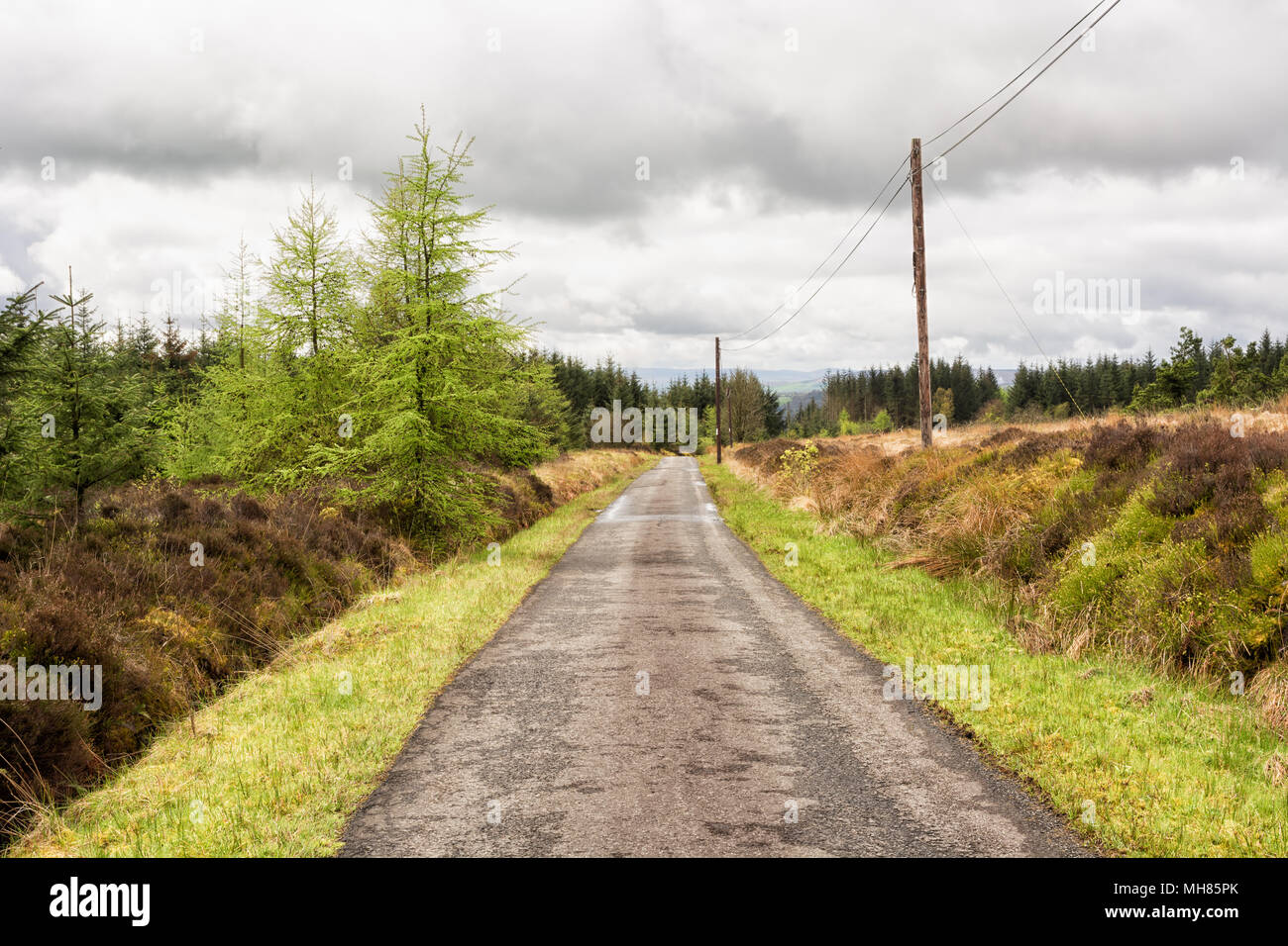 Spring in the highlands hi-res stock photography and images - Alamy
