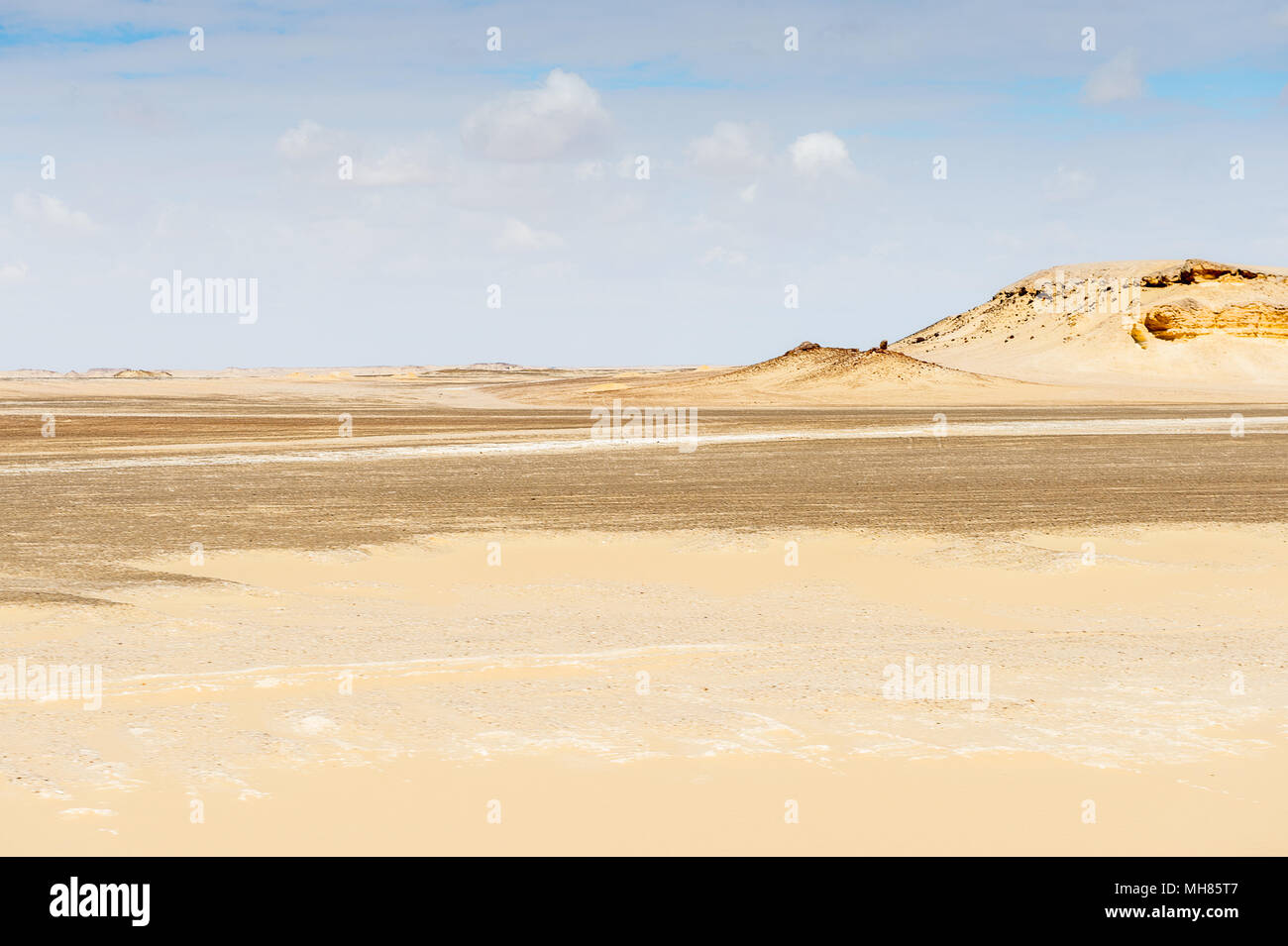Beautiful sand dunes in the Sahara desert in Egypt Stock Photo - Alamy