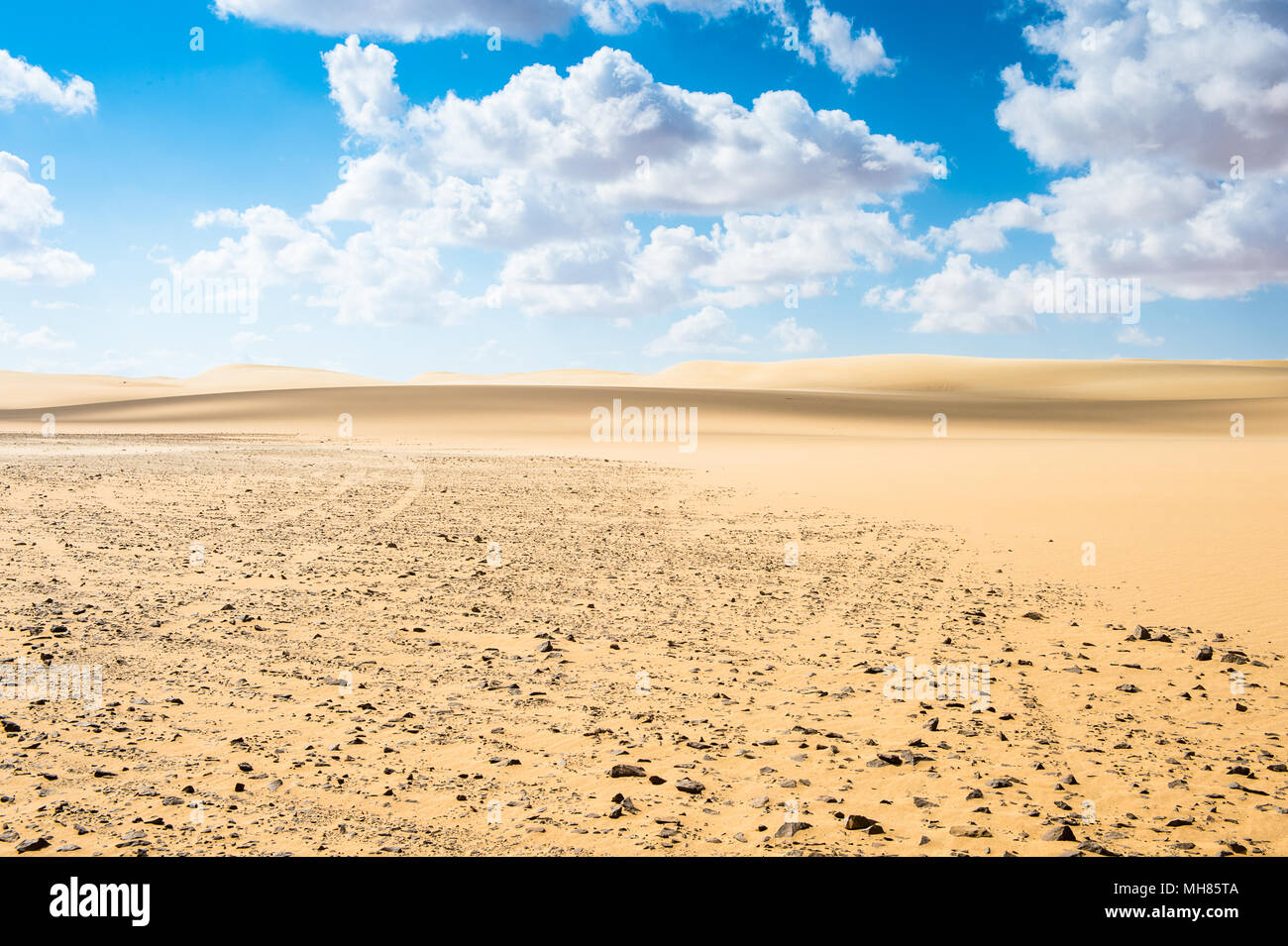 Beautiful sand dunes in the Sahara desert in Egypt Stock Photo - Alamy