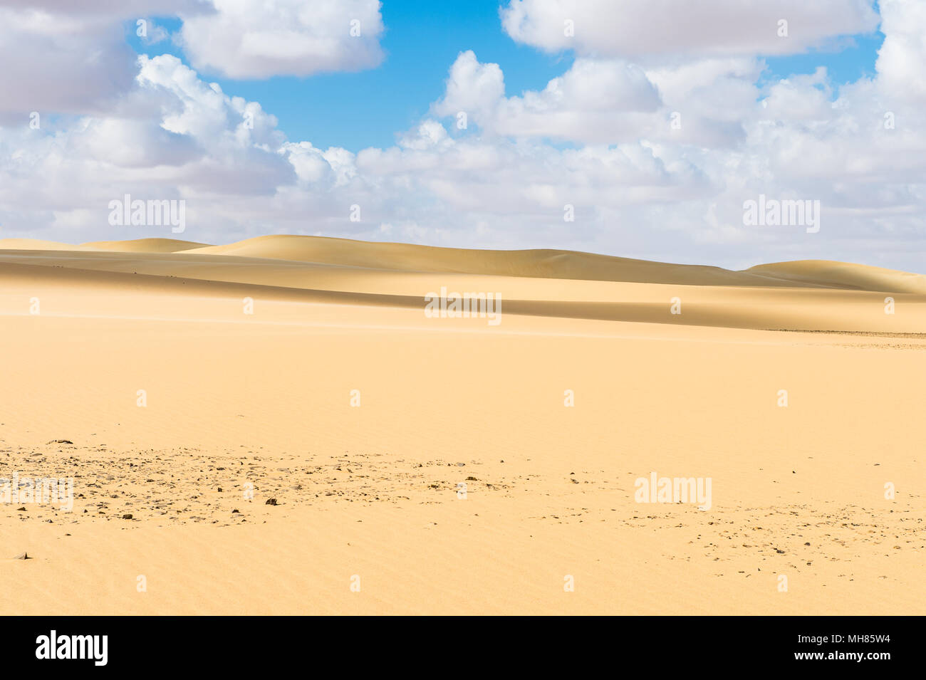 Beautiful sand dunes in the Sahara desert in Egypt Stock Photo - Alamy