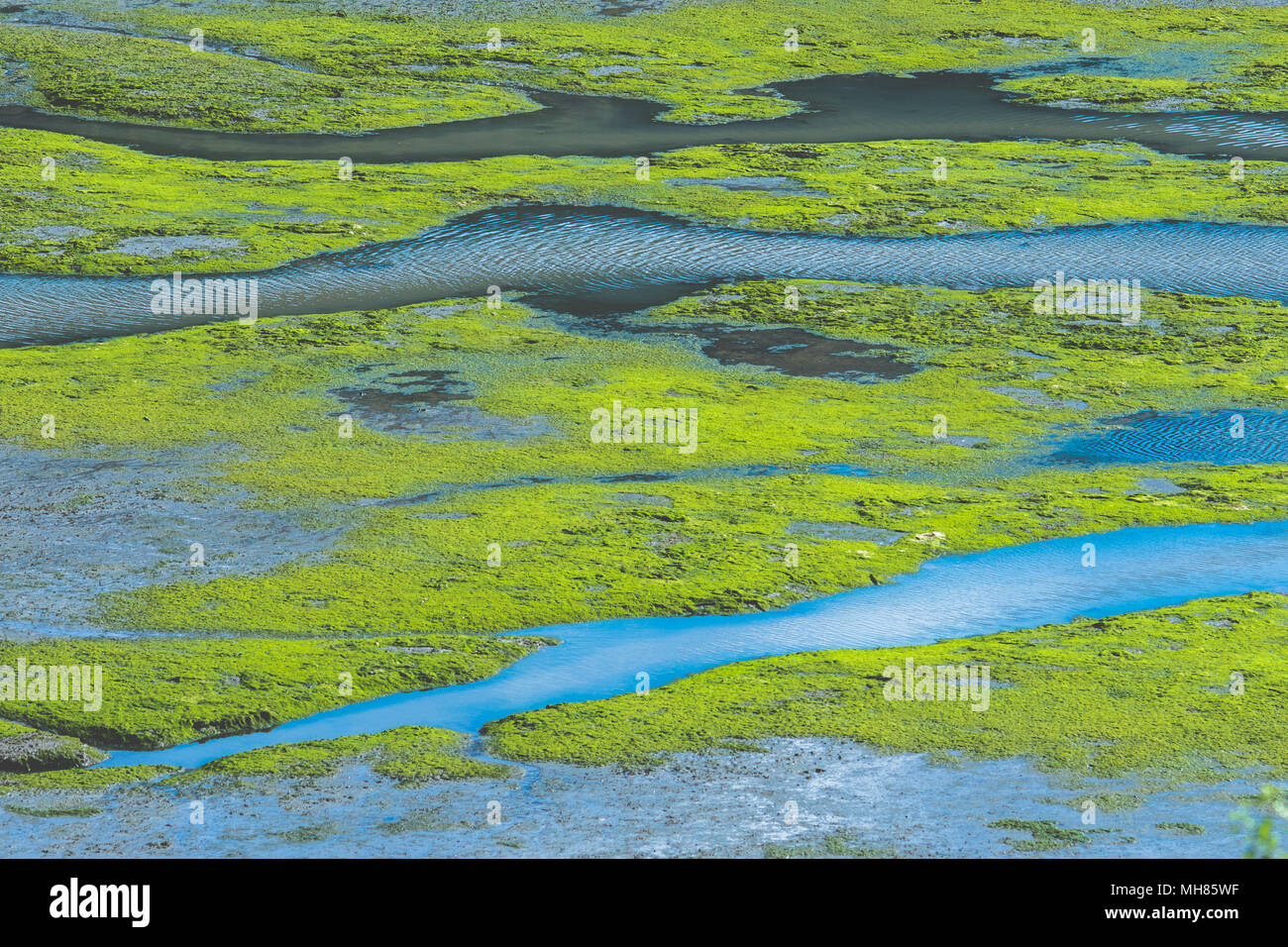 sun, sea and sand Stock Photo - Alamy