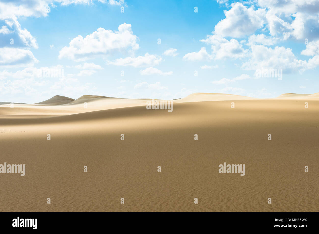 Beautiful sand dunes in the Sahara desert in Egypt Stock Photo - Alamy