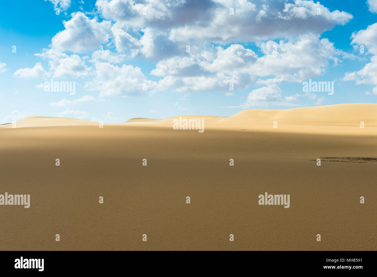Beautiful sand dunes in the Sahara desert in Egypt Stock Photo - Alamy