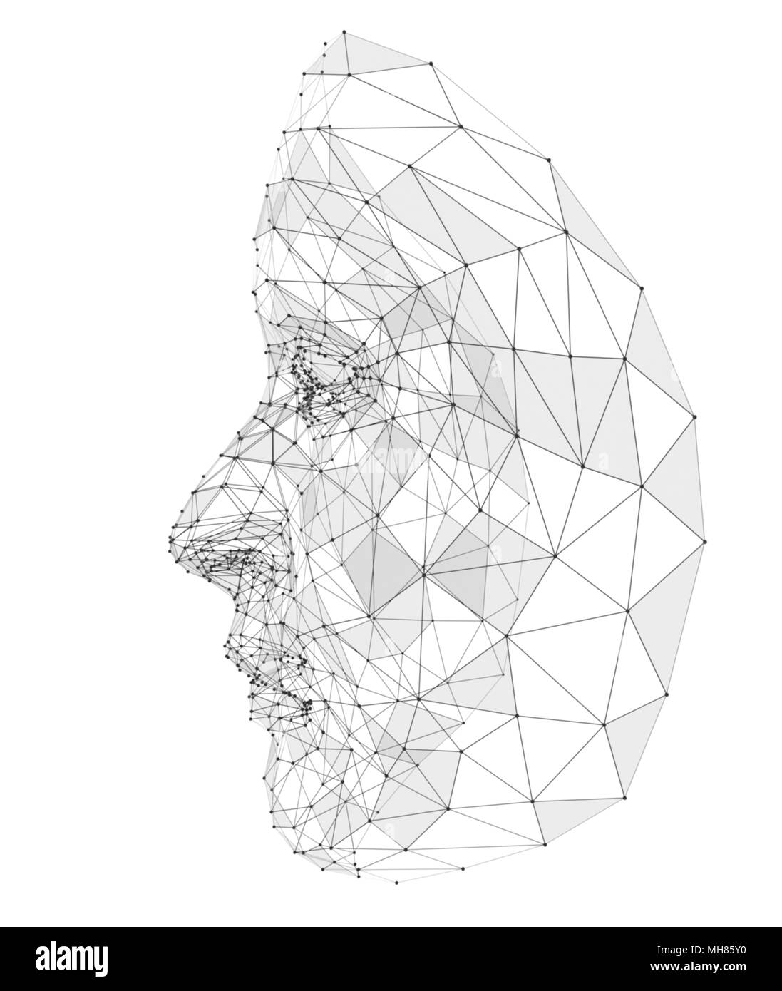 Human face consisting of lines, polygons and dots Stock Photo - Alamy