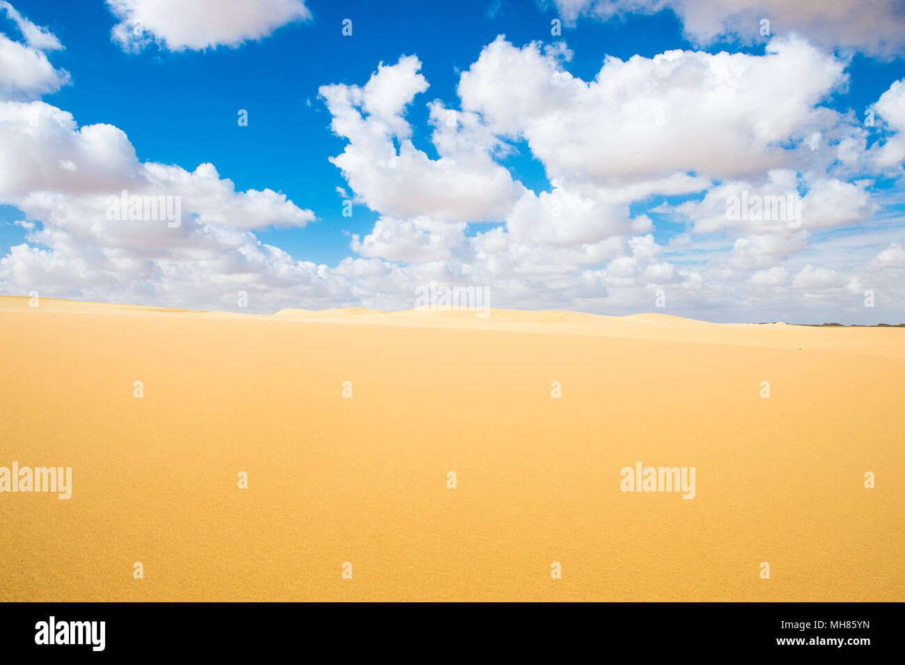 Beautiful sand dunes in the Sahara desert in Egypt Stock Photo - Alamy