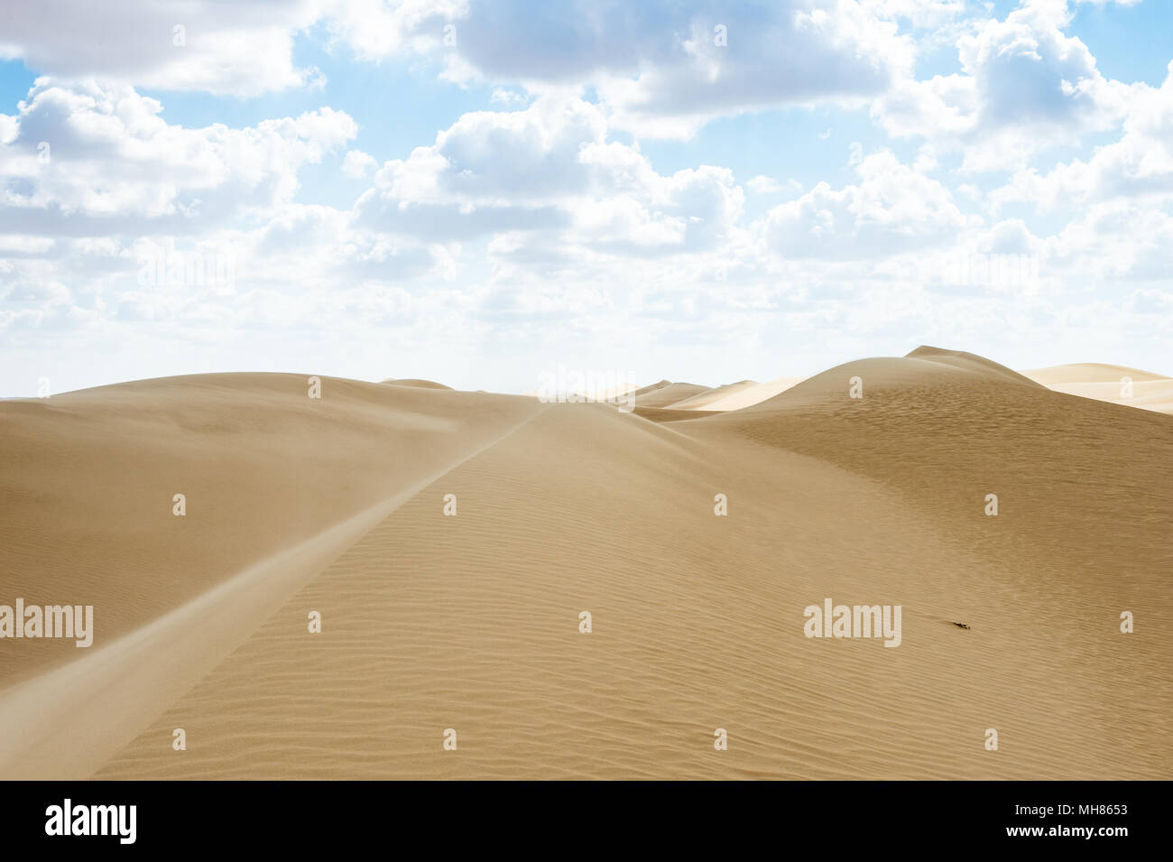 Dunes in the Sahara desert in Egypt Stock Photo - Alamy