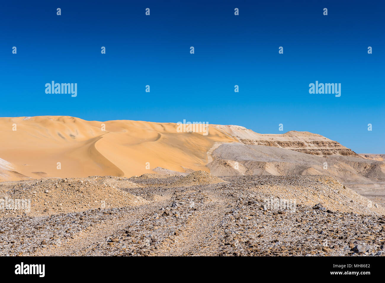 Sand dune in the desert in Egypt Stock Photo - Alamy