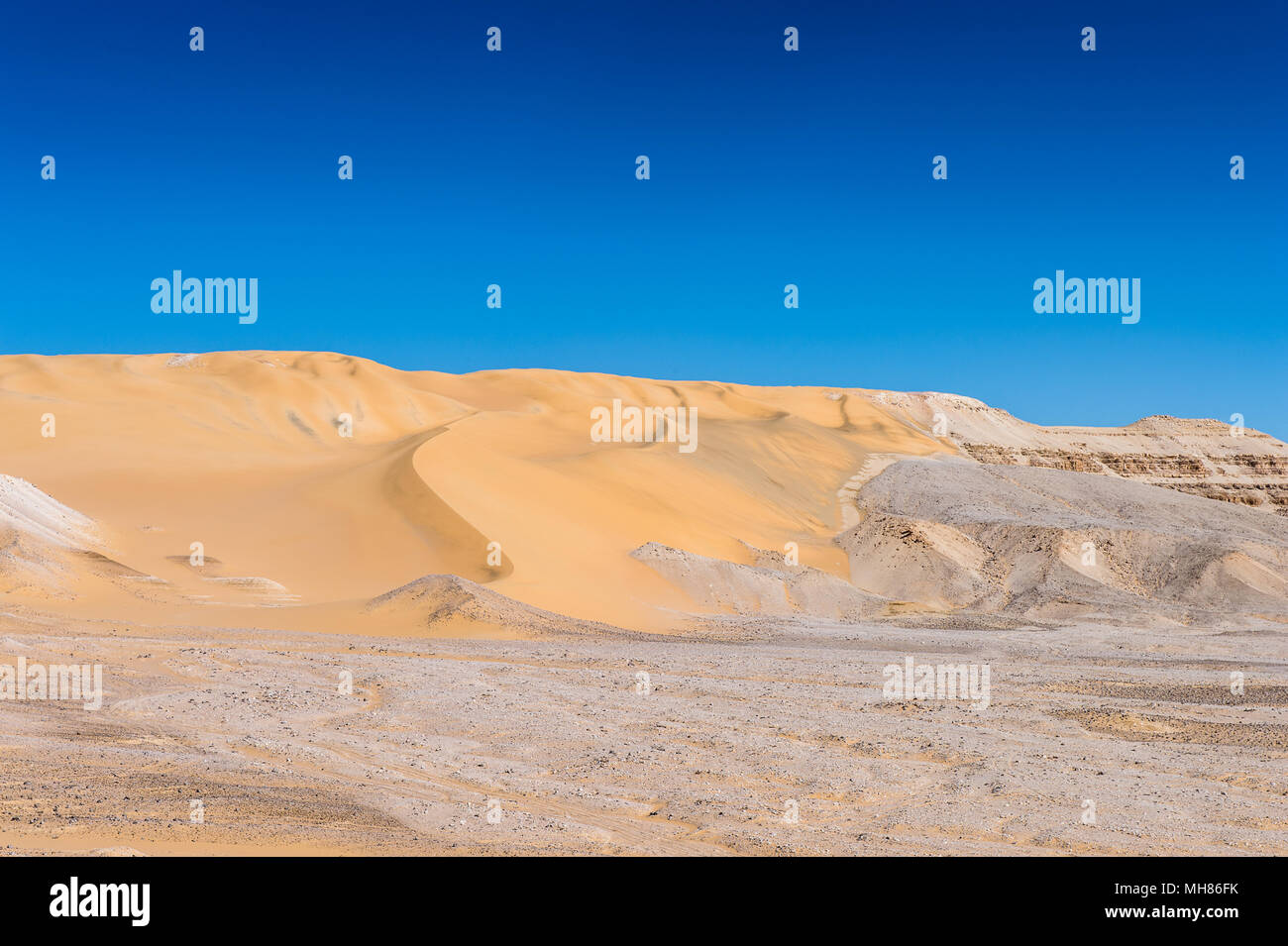 Sand dune in the desert in Egypt Stock Photo - Alamy